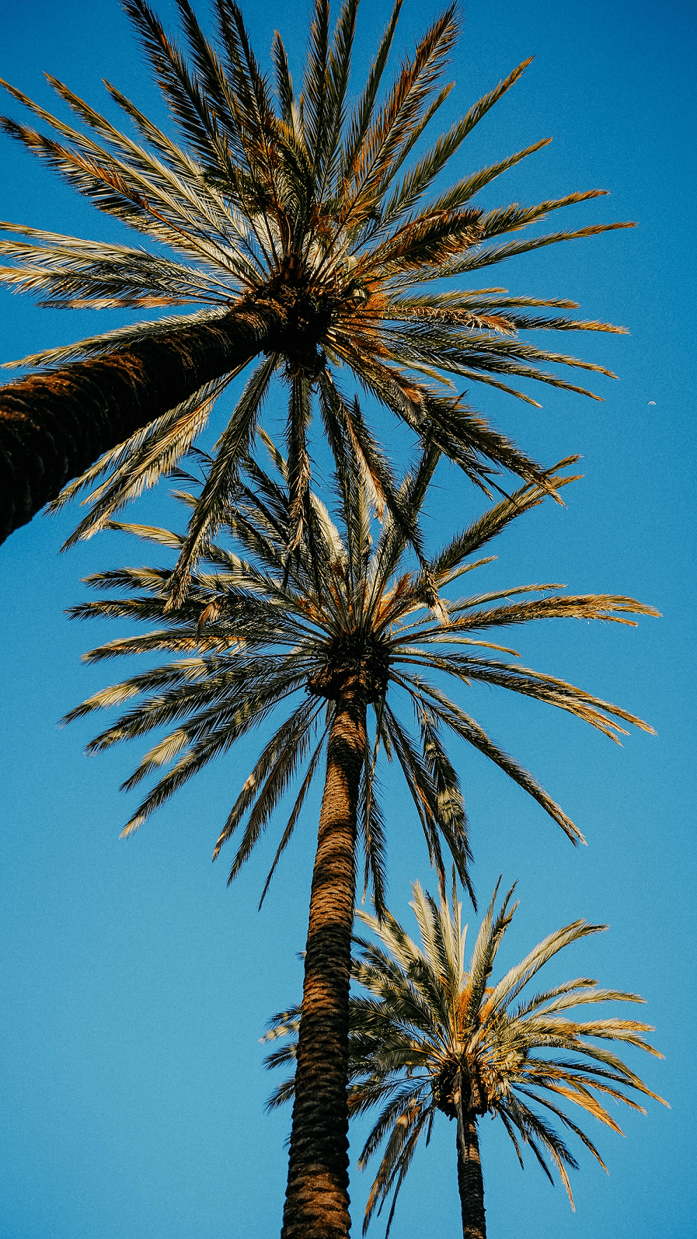 Setting SMART goals | SMART method | 100+ examples